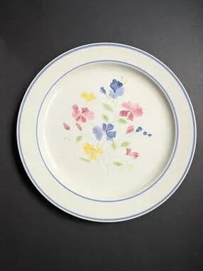 Century Stoneware | Dining | Vintage Century Stoneware Dinner Plate ...